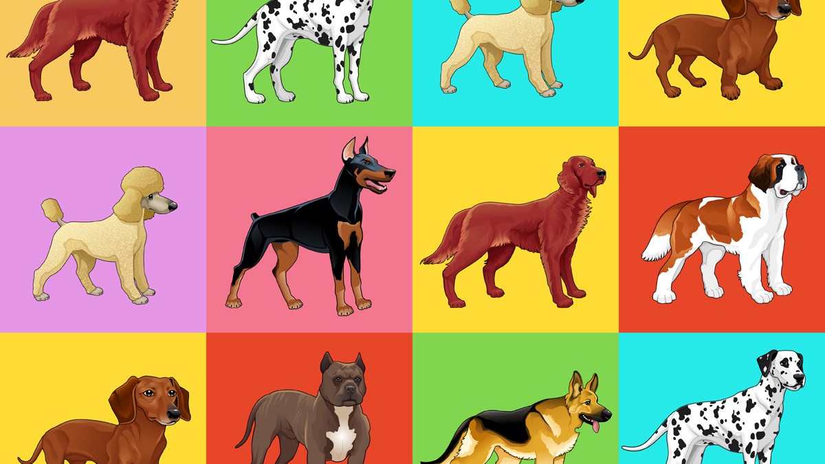 ArtificialIntelligence What Is Classification ArtificialIntelligence What Is Classification