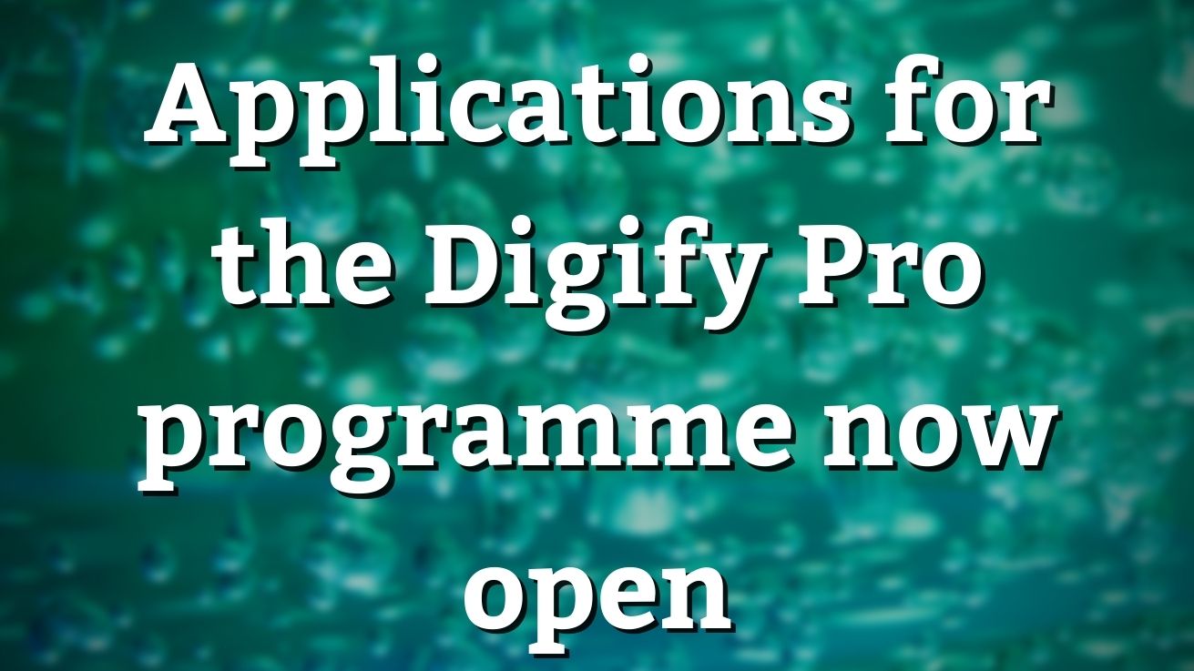 Applications for the Digify Pro programme now open
