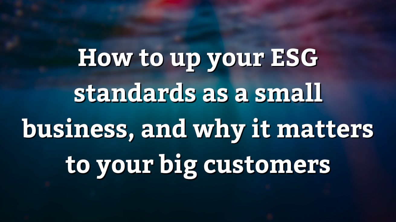 How to up your ESG standards as a small business and why it matters to ...